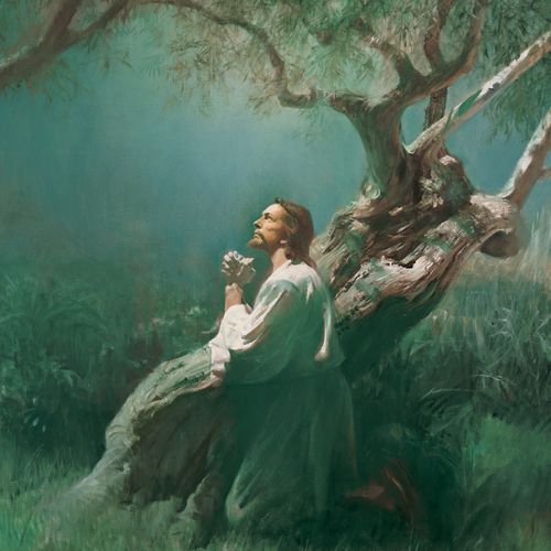 The Promised Messiah